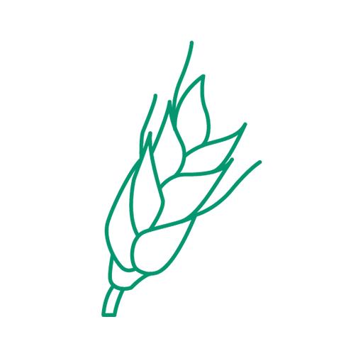 About Us - Ecolyfe